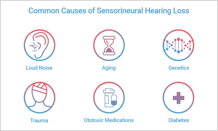 Sensorineural Hearing Loss [causes Symptoms Treatment] Ziphearing